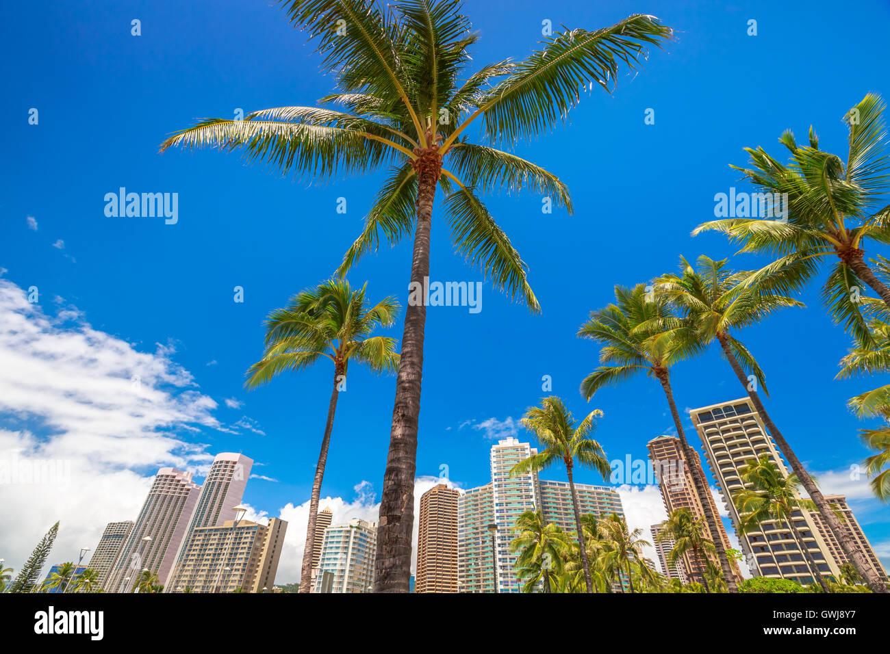 Honolulu cityscape skyscrapers hawaii hi-res stock photography and ...