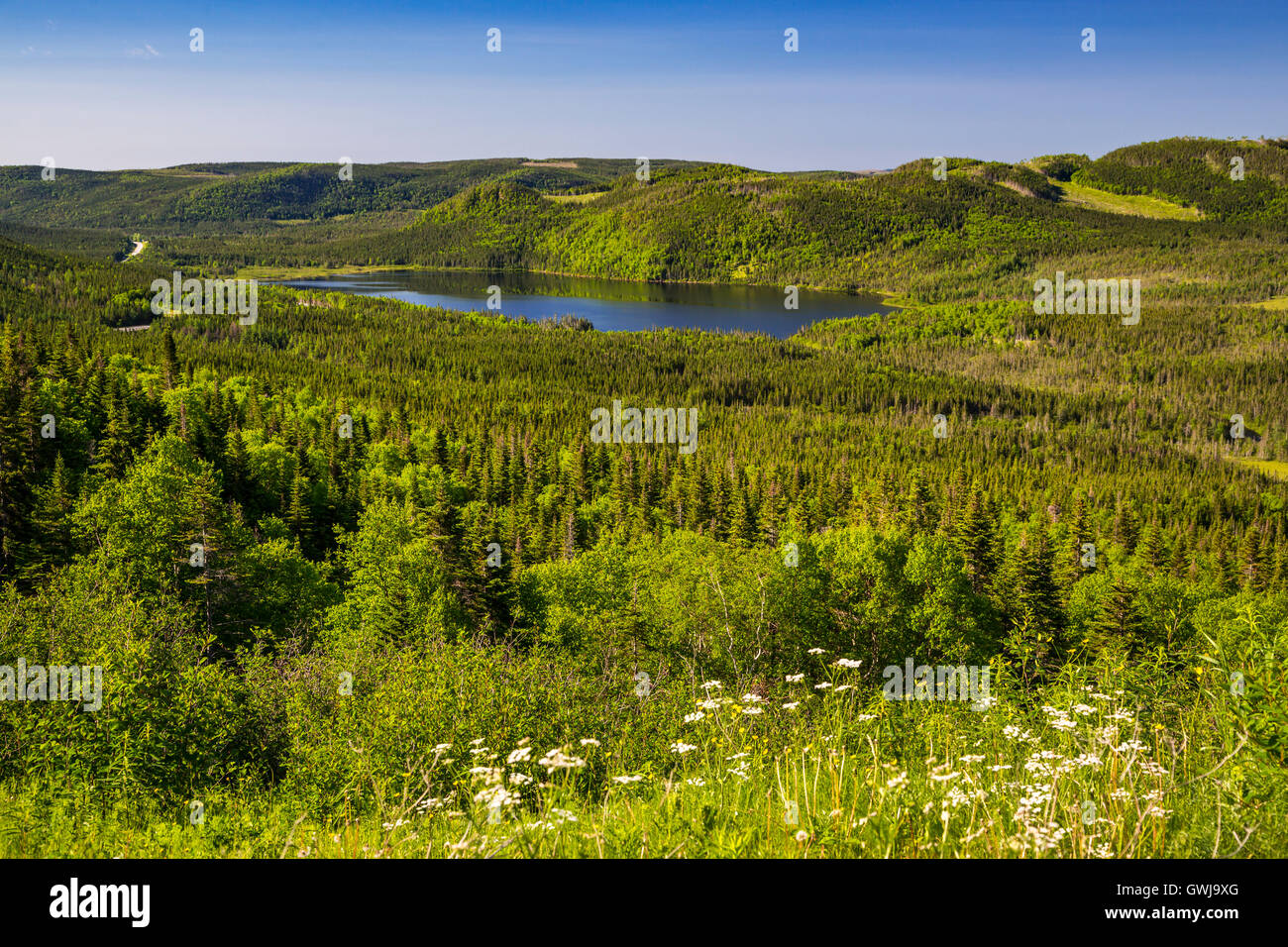 Coastal scenery in Gros Morne National Park, Newfoundland and Labrador ...