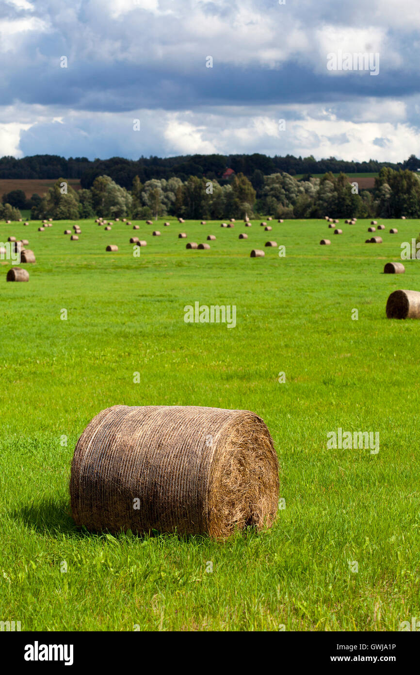 Large haymow in the green grass (vertical Stock Photo - Alamy