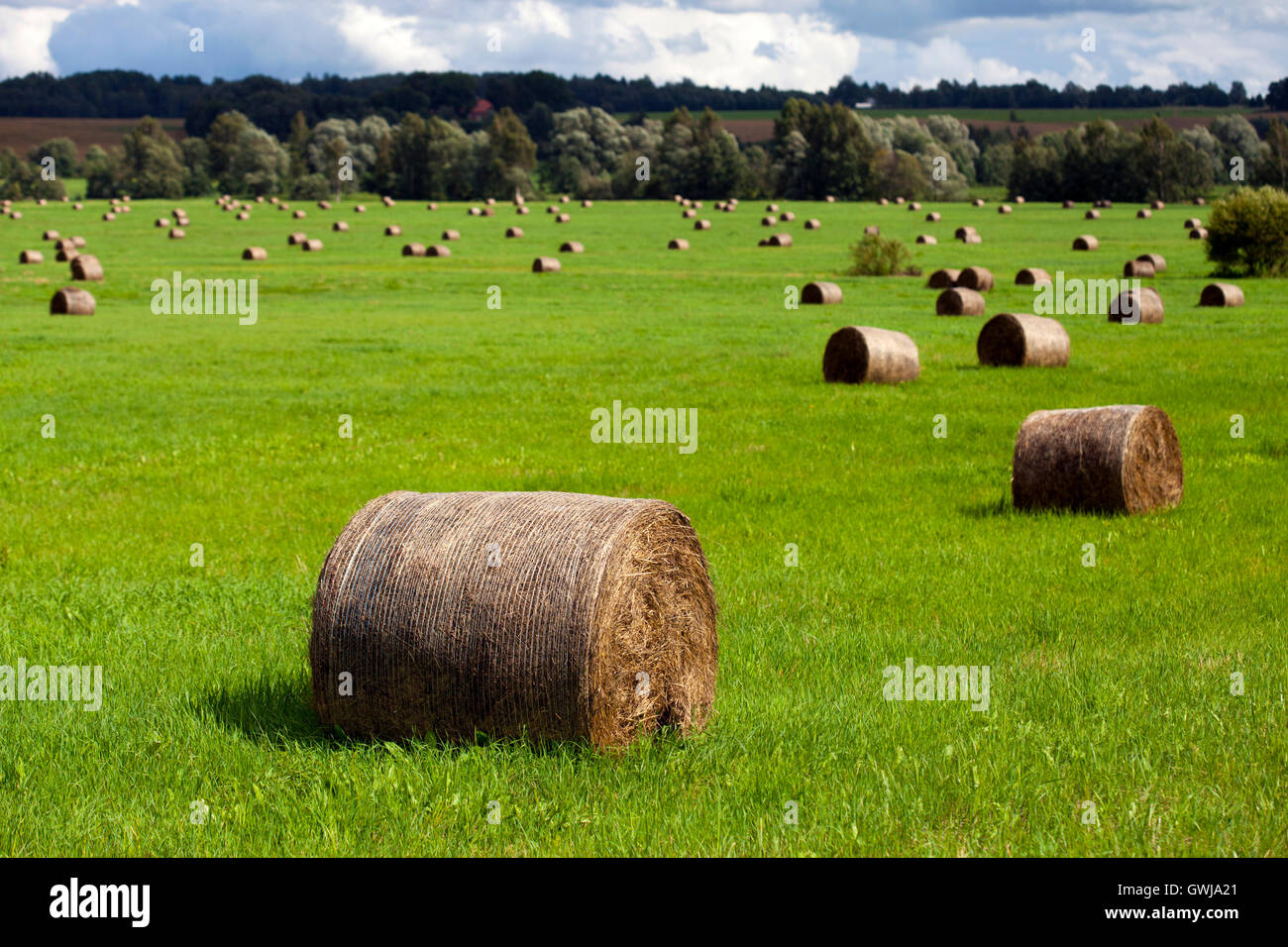 Large Haystack High Resolution Stock Photography and Images - Alamy