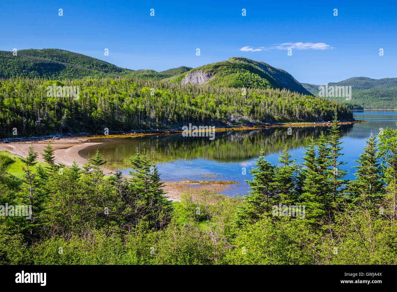 Newfoundland coastal scenic hi-res stock photography and images - Alamy
