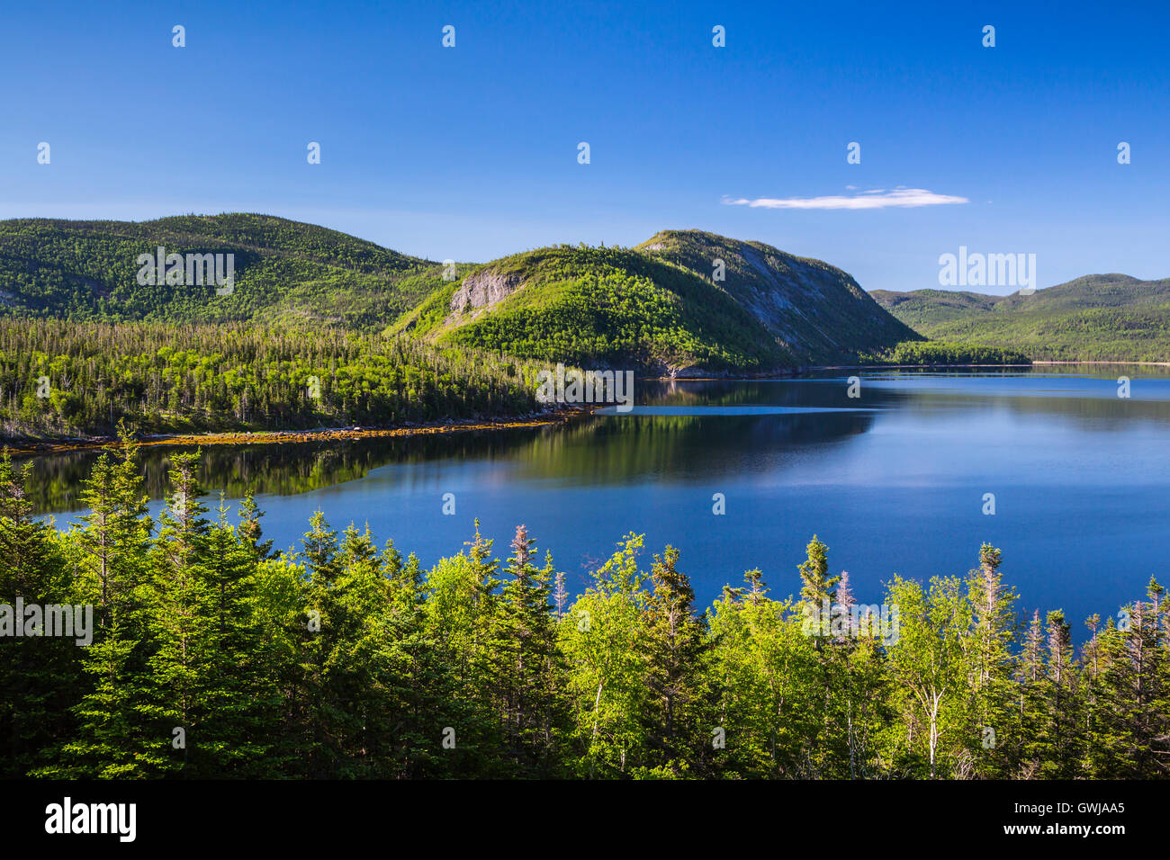 Coastal scenics at Gros Morne National Park, Newfoundland and Labrador ...
