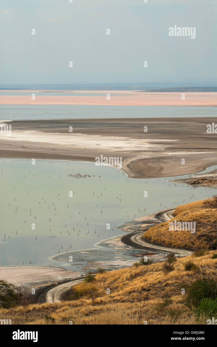 Vertical andscape of Lake Magadi with flamingos and salt/mineral ...