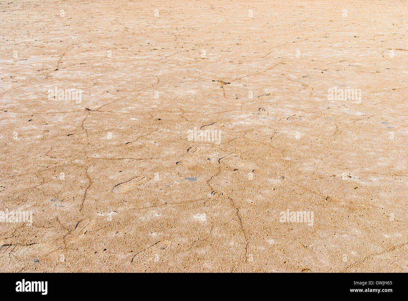 Dry salt lake bottom full of texture.The cracks form a distinctive ...