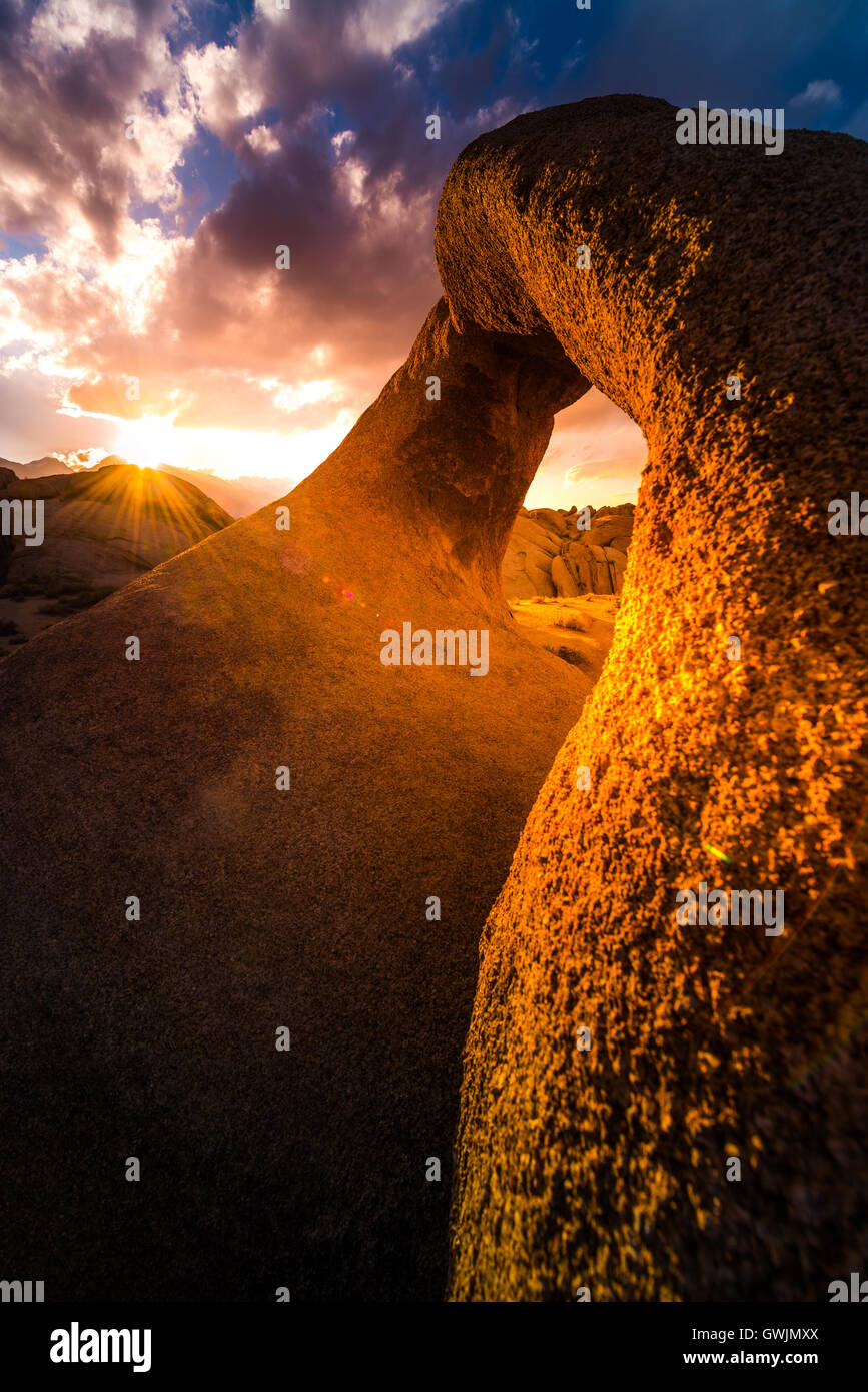 Pine landscape hi-res stock photography and images - Alamy