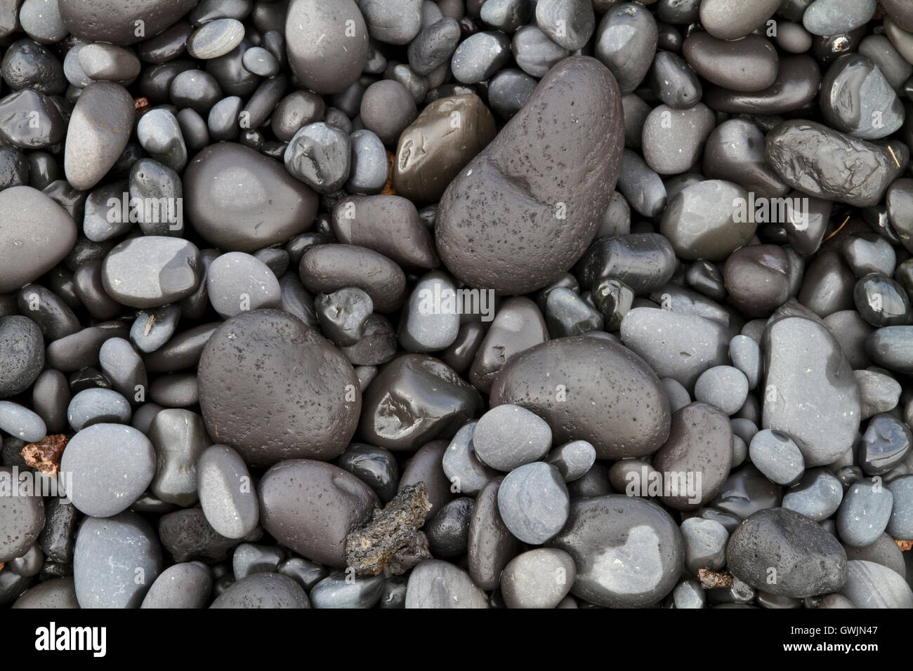 Close up of basalt pebbles on an Icelandic beach Stock Photo - Alamy