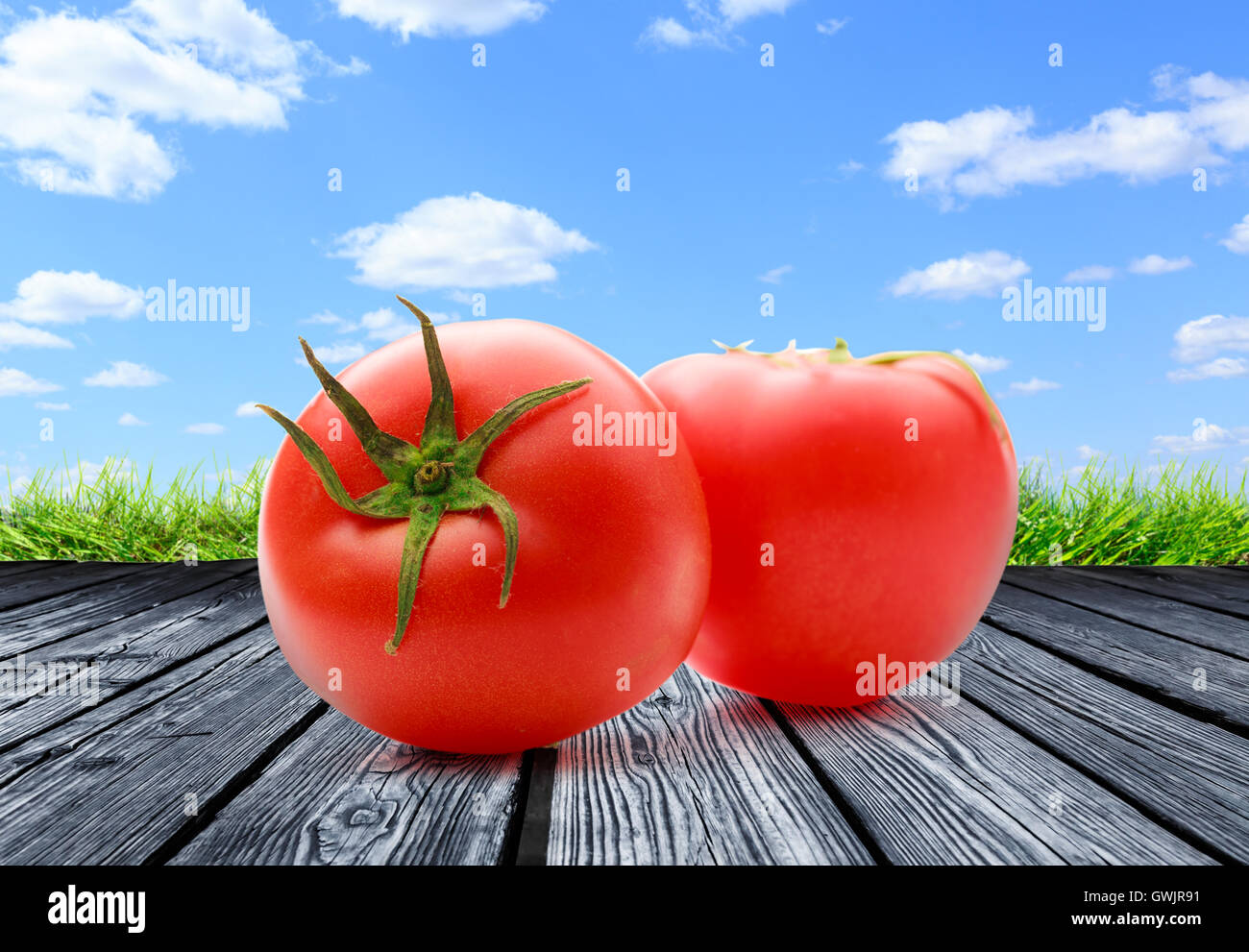 Two fresh tomatoes on sky background closeup Stock Photo - Alamy