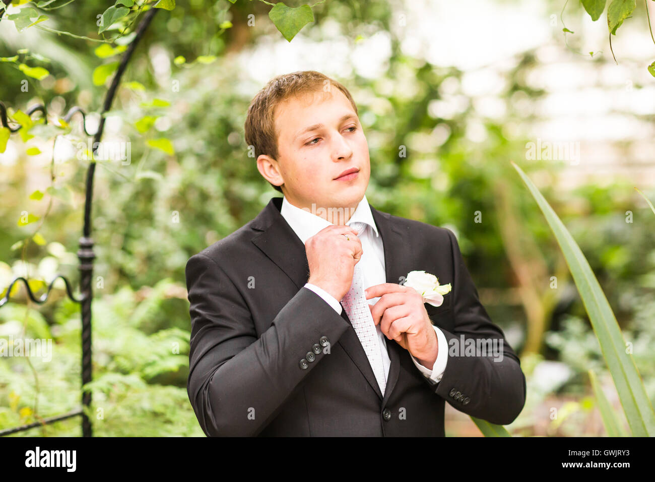Respectable young man Stock Photo - Alamy