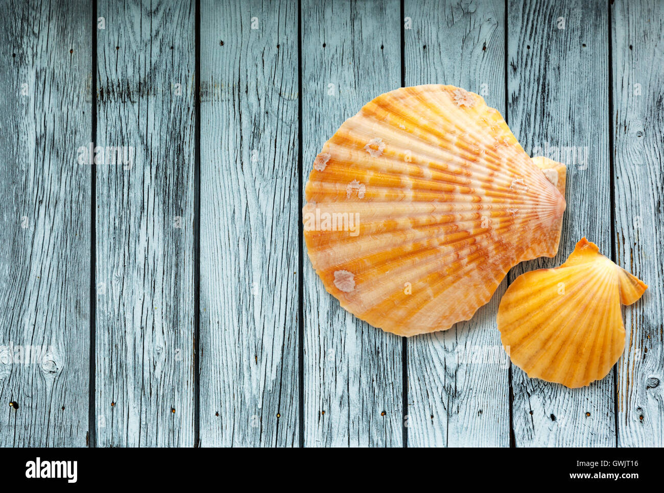 Two seashells on wooden background in closeup Stock Photo - Alamy