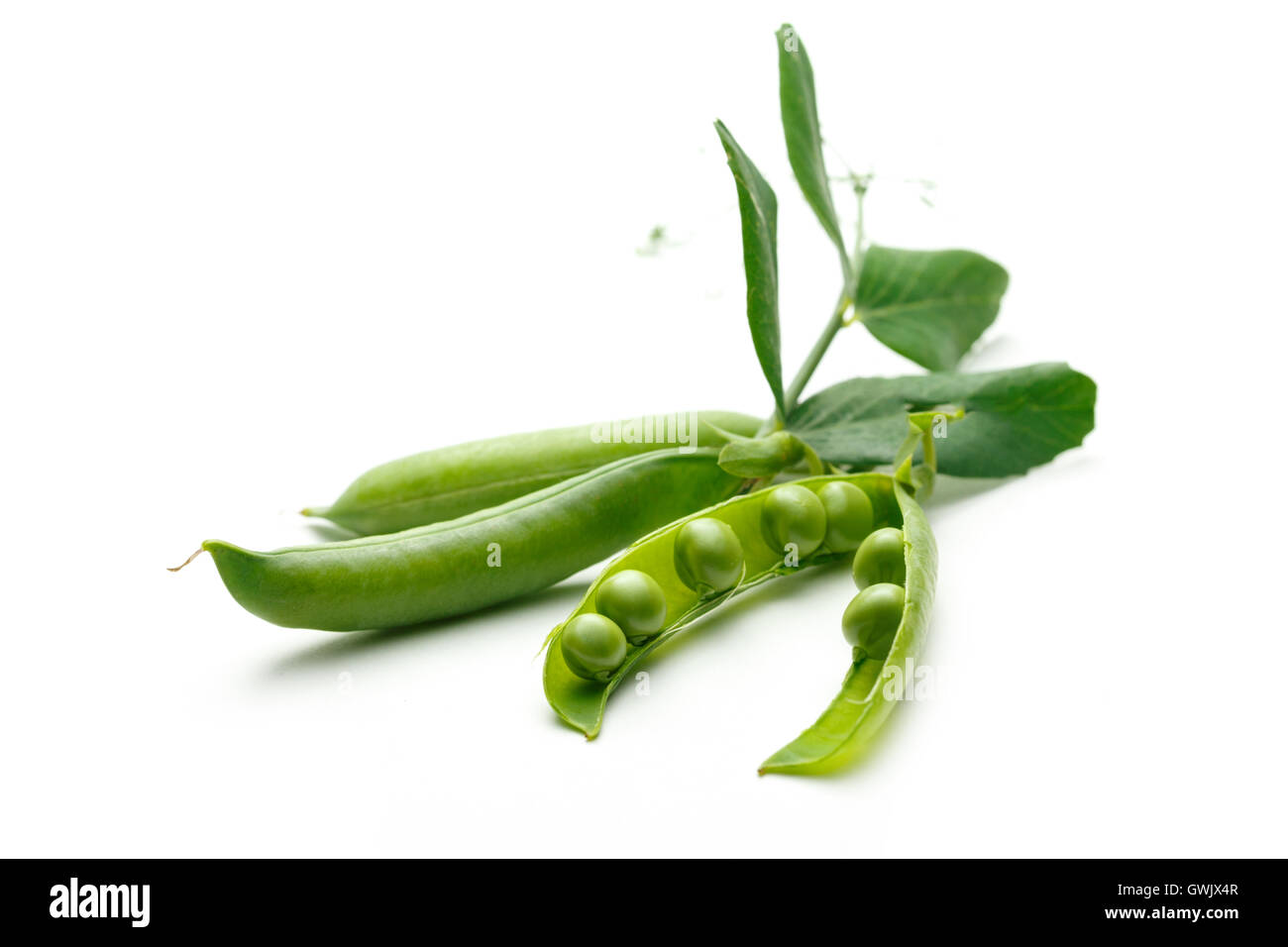 Bean leaves Cut Out Stock Images & Pictures - Alamy