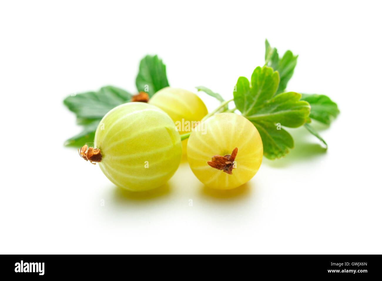 Fresh gooseberry with leaves on white background Stock Photo - Alamy
