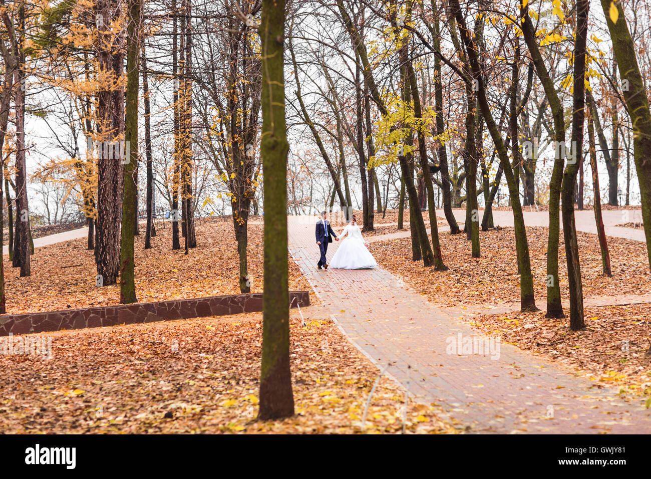 autumn wedding in the park, bride and groom Stock Photo - Alamy