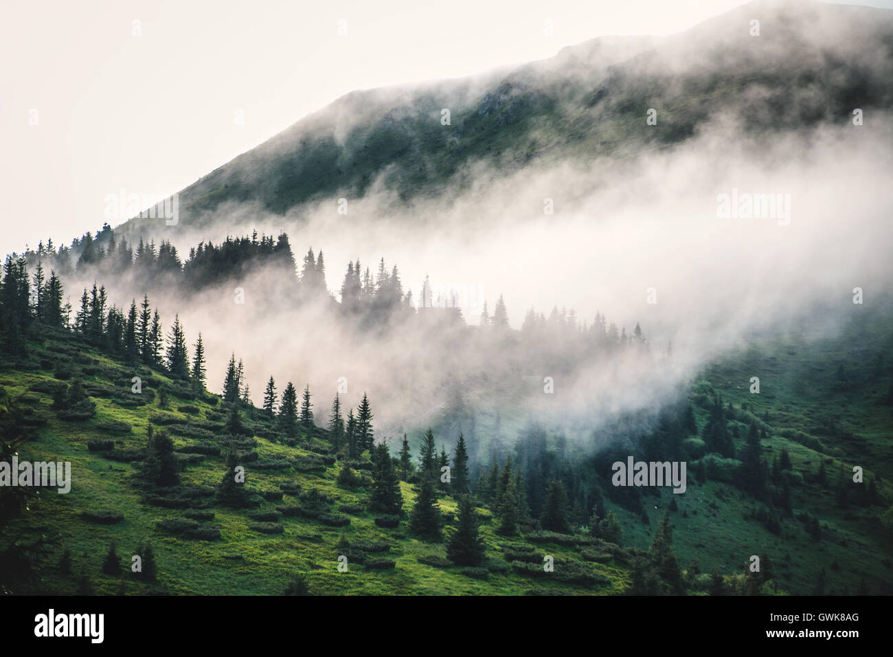 Amazing Landscape in Carpathian Mountains Stock Photo - Alamy