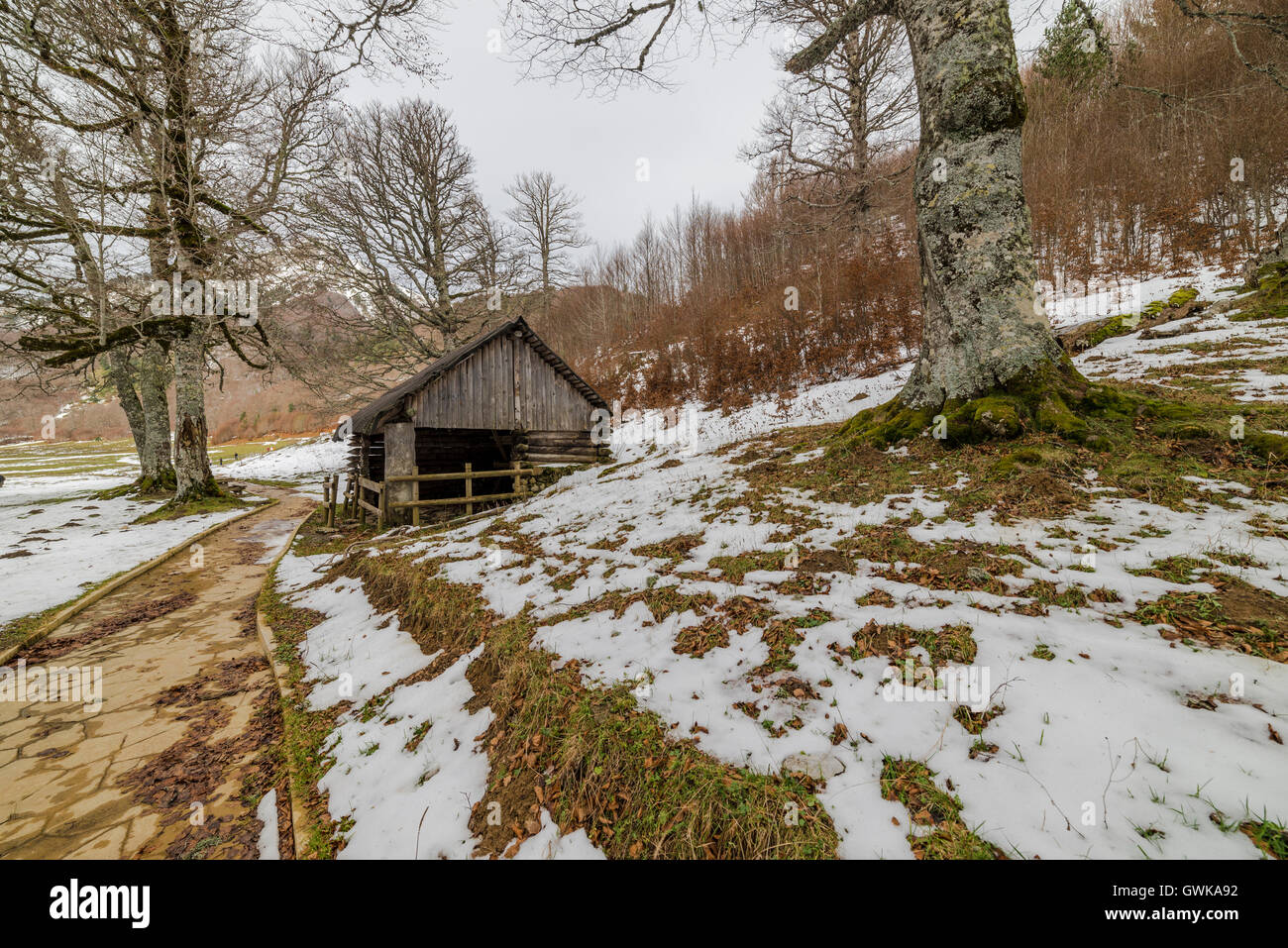 Linza hi-res stock photography and images - Alamy