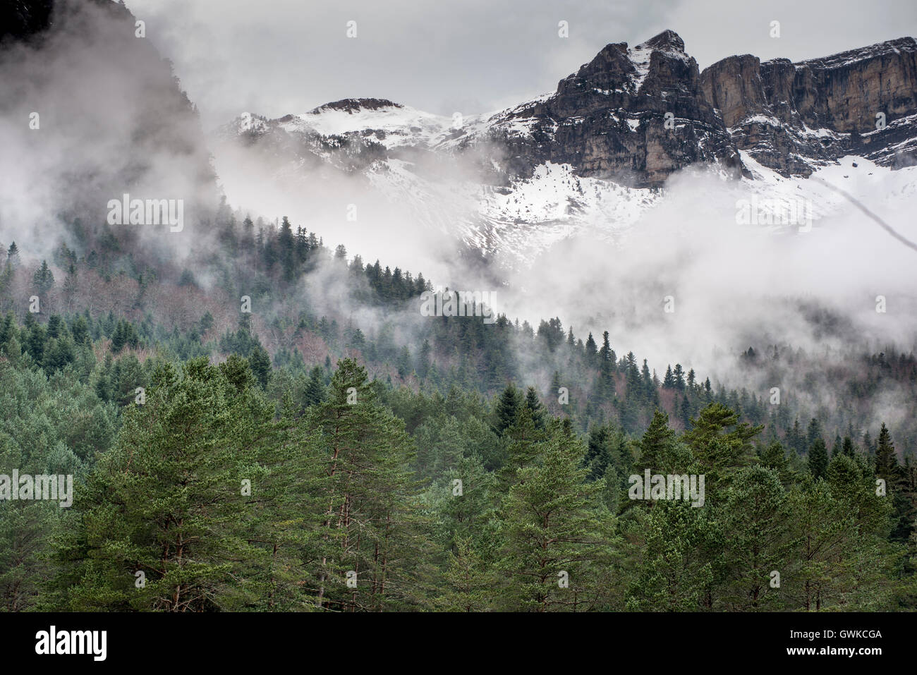 Selba hi-res stock photography and images - Alamy