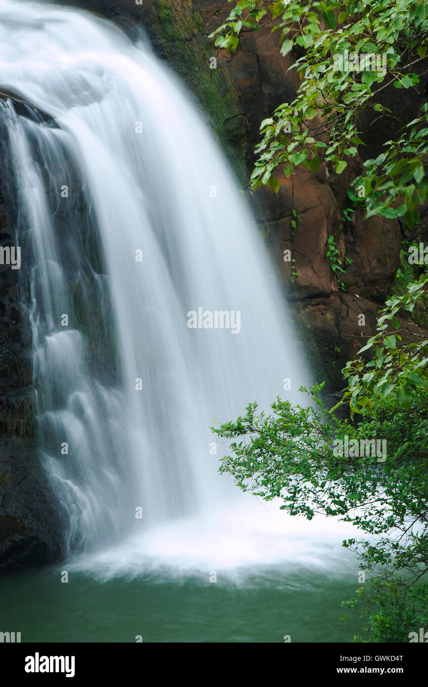 The image of Waterfall in Bhandardara, Maharashtra, western ghats ...
