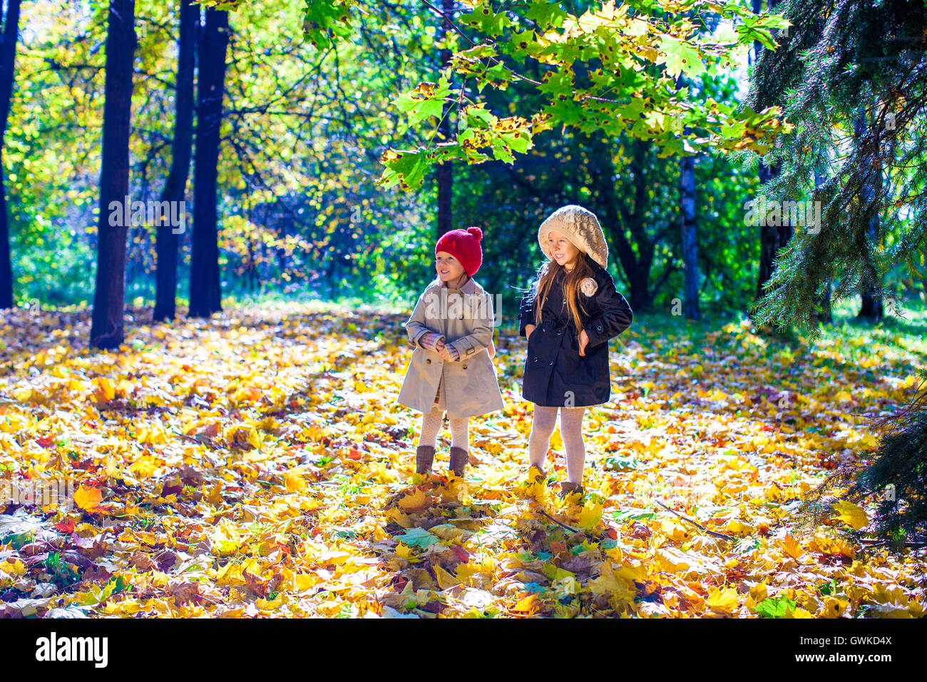 Two beautiful adorable girls walking in the fall forest at warm sunny ...