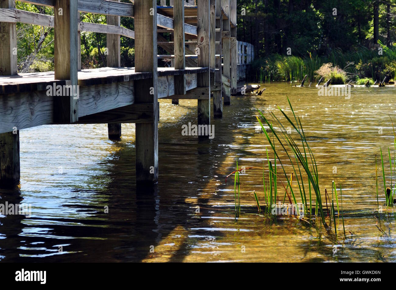 Along the bank, feet in the river Stock Photo - Alamy
