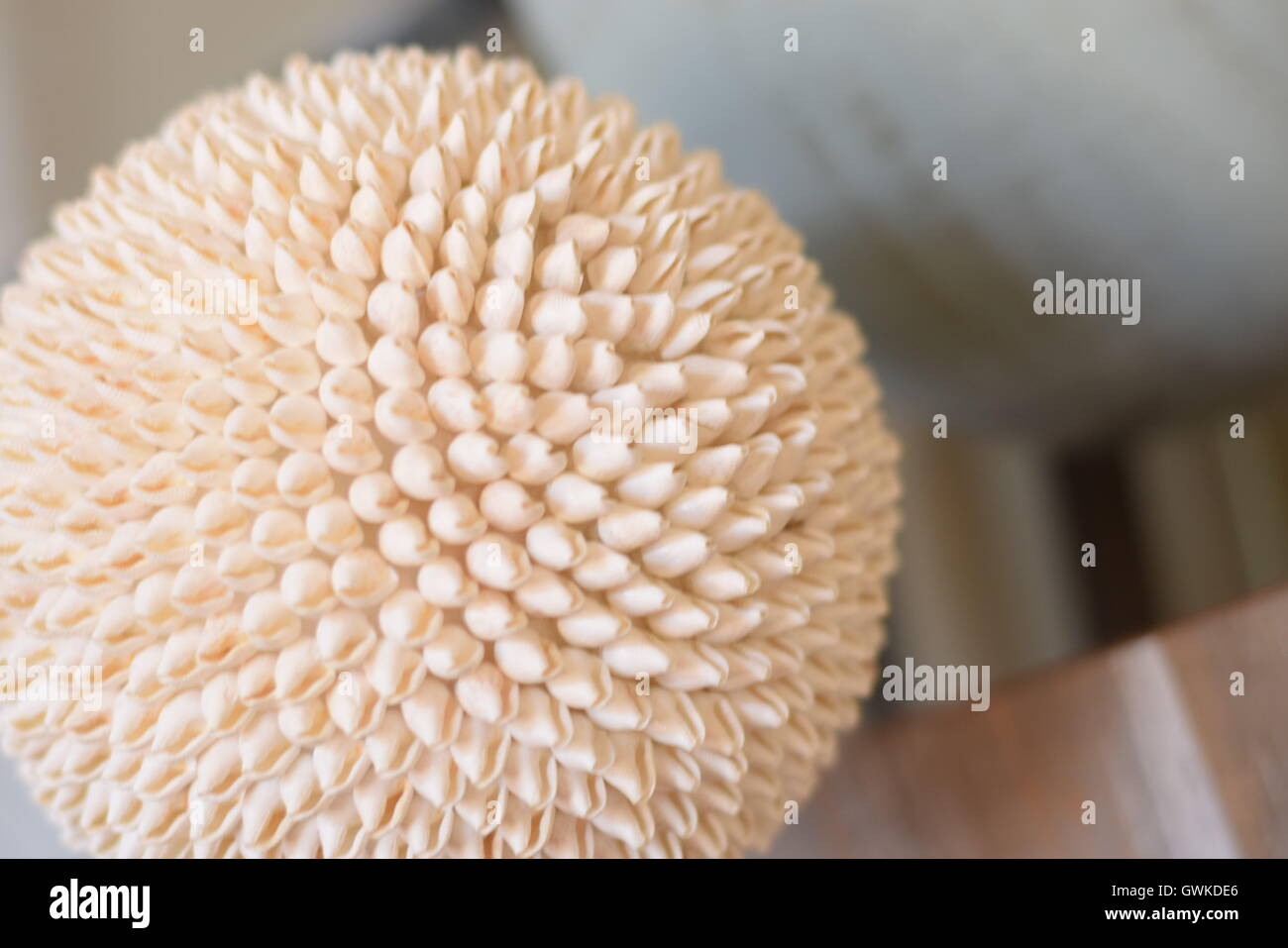 Angled white sea shell ball Stock Photo - Alamy