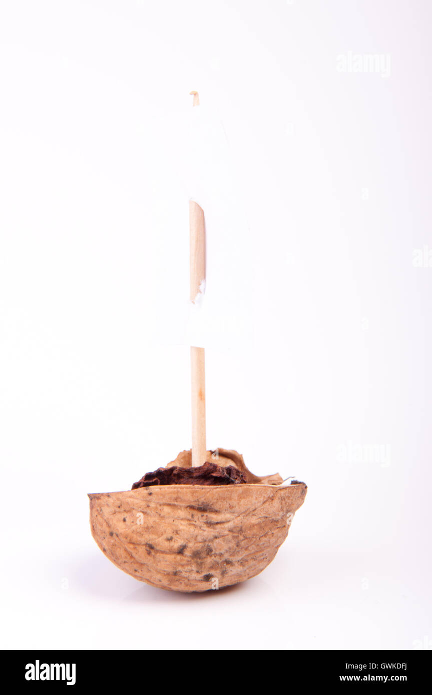 Walnut shell boat hi-res stock photography and images - Alamy