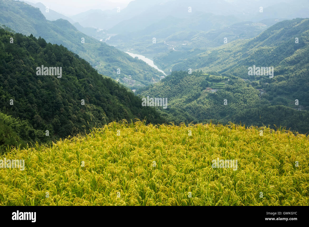China Wenzhou landscape - mountain scenery Stock Photo - Alamy