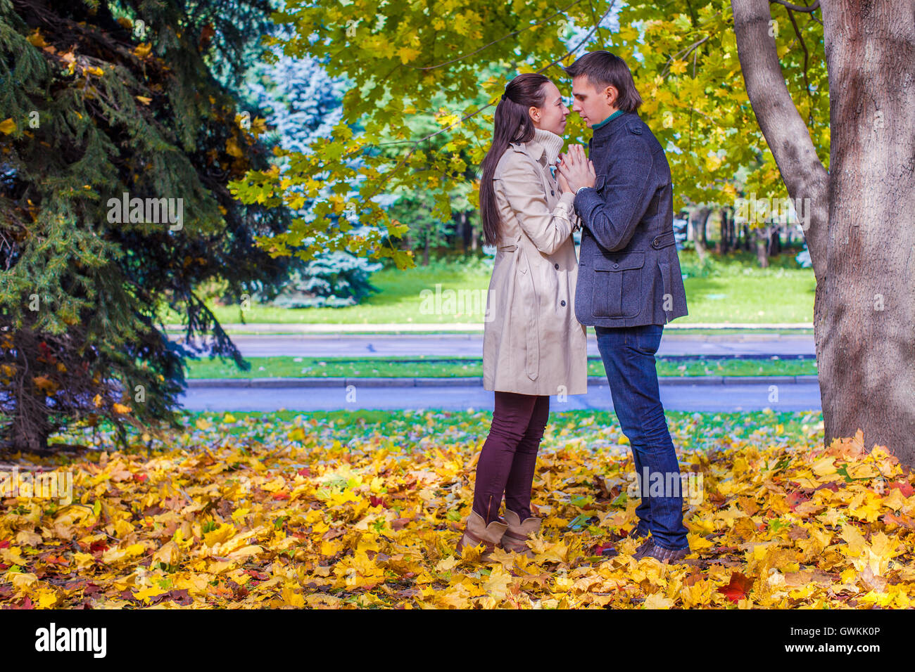 Young couple in love on the big autumn meadow under large maple tree at ...