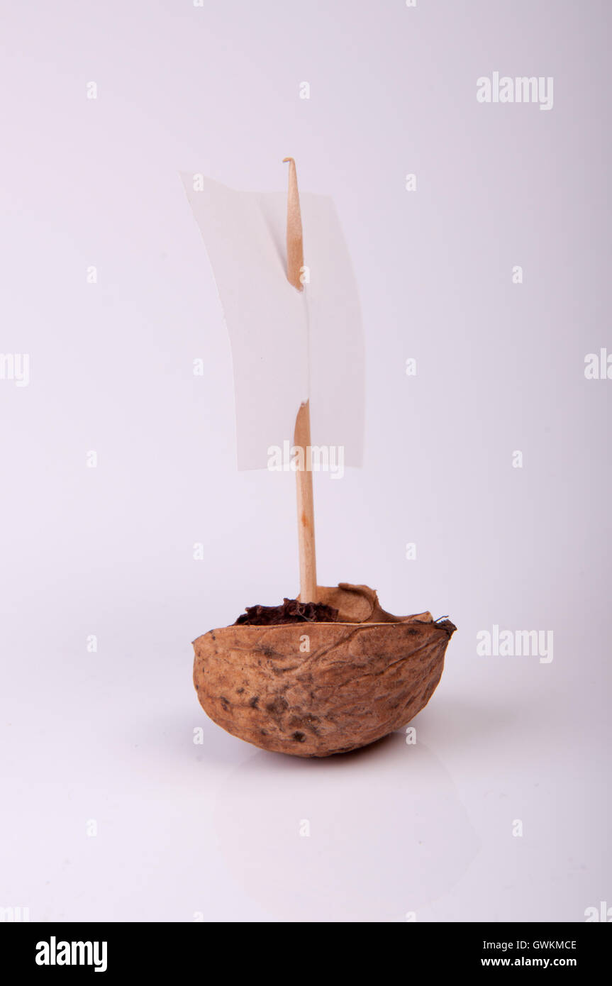 Walnut shell boat hi-res stock photography and images - Alamy