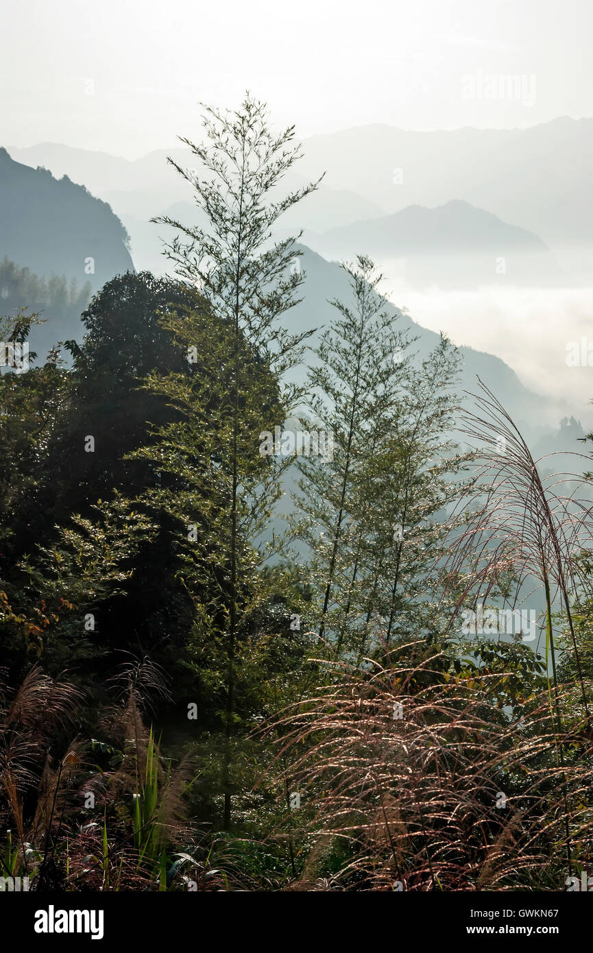 Ziyuan hi-res stock photography and images - Alamy