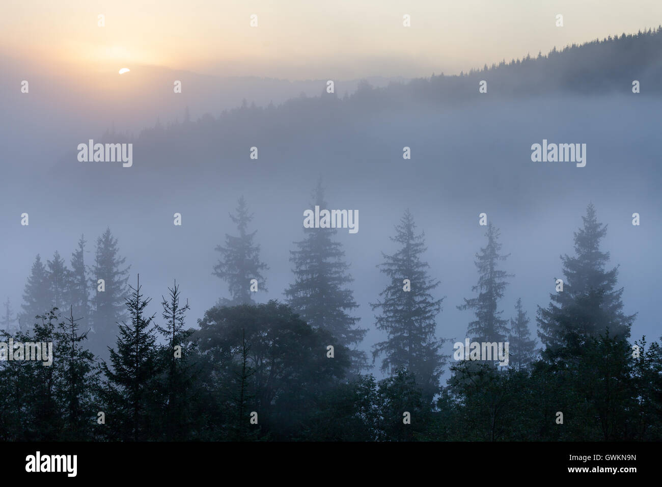 Fog over mountain range in sunrise light. Morning sun rays through the ...