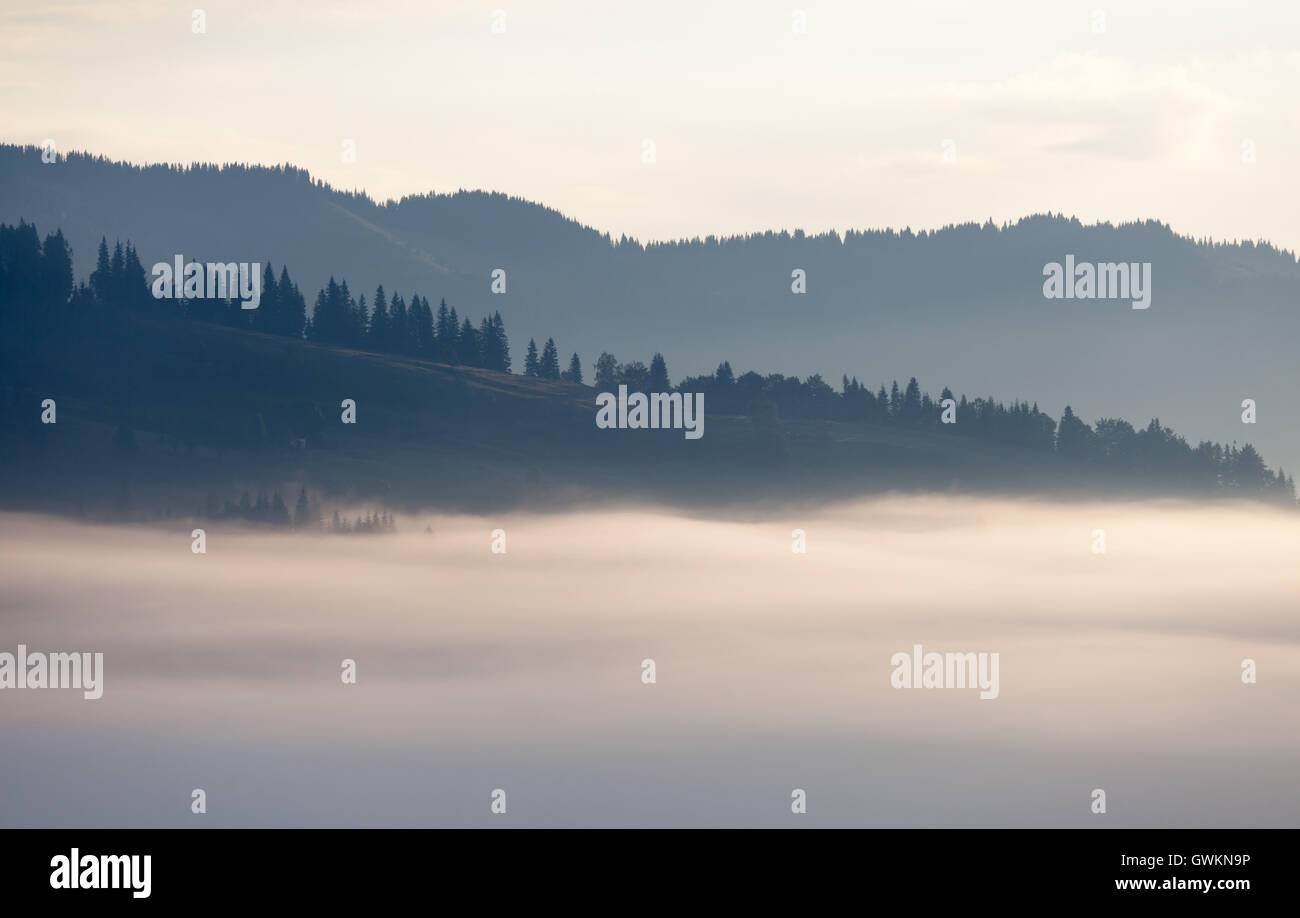 Fog over mountain range in sunrise light. Morning sun rays through the ...