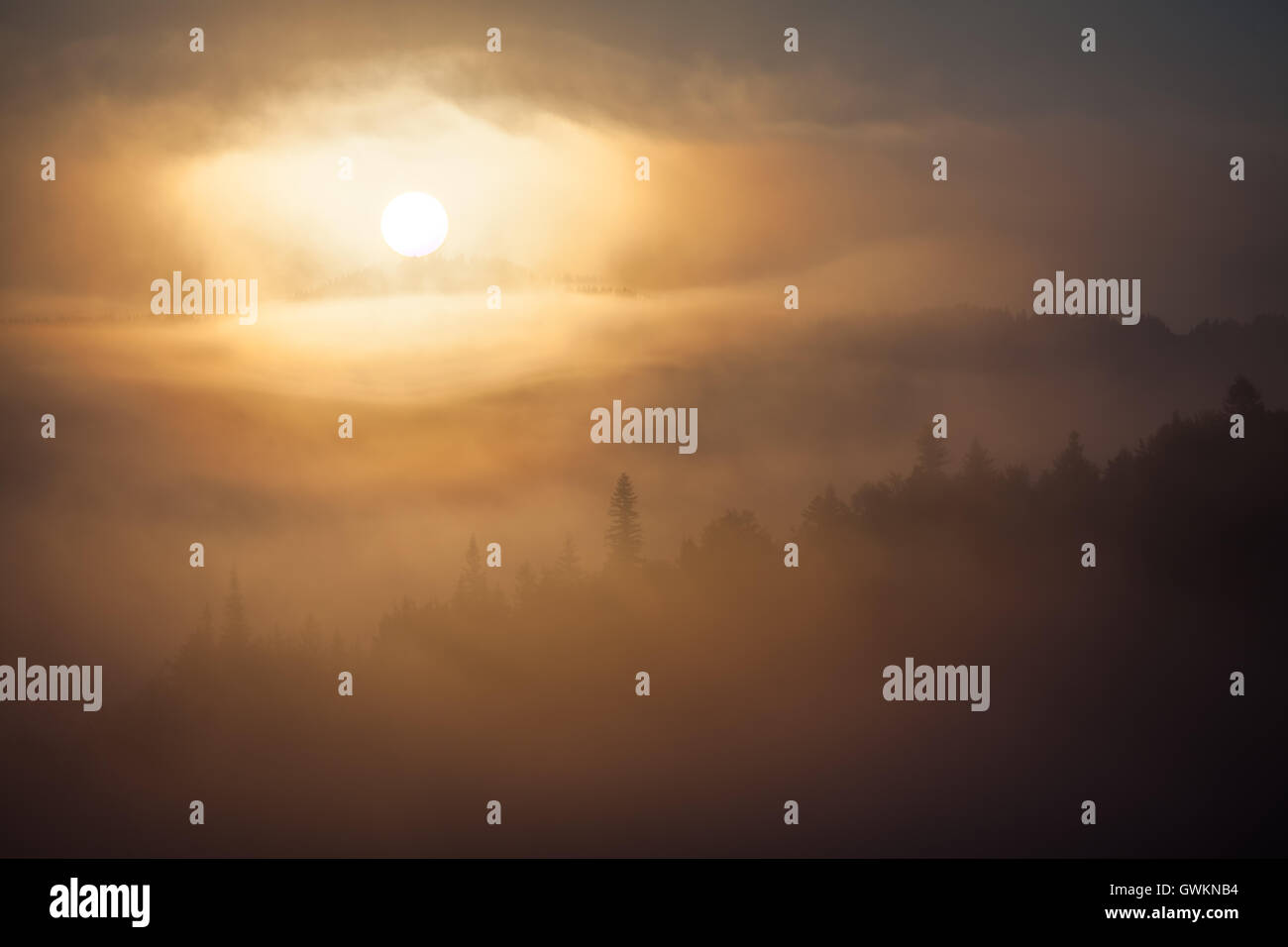 Fog over mountain range in sunrise light. Morning sun rays through the ...