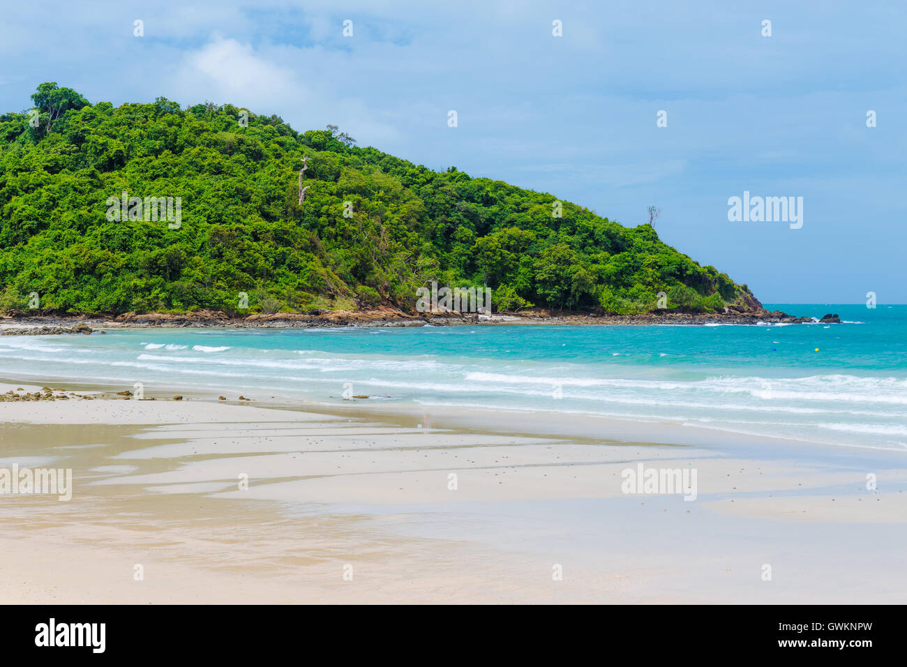 Clam jungle hi-res stock photography and images - Alamy
