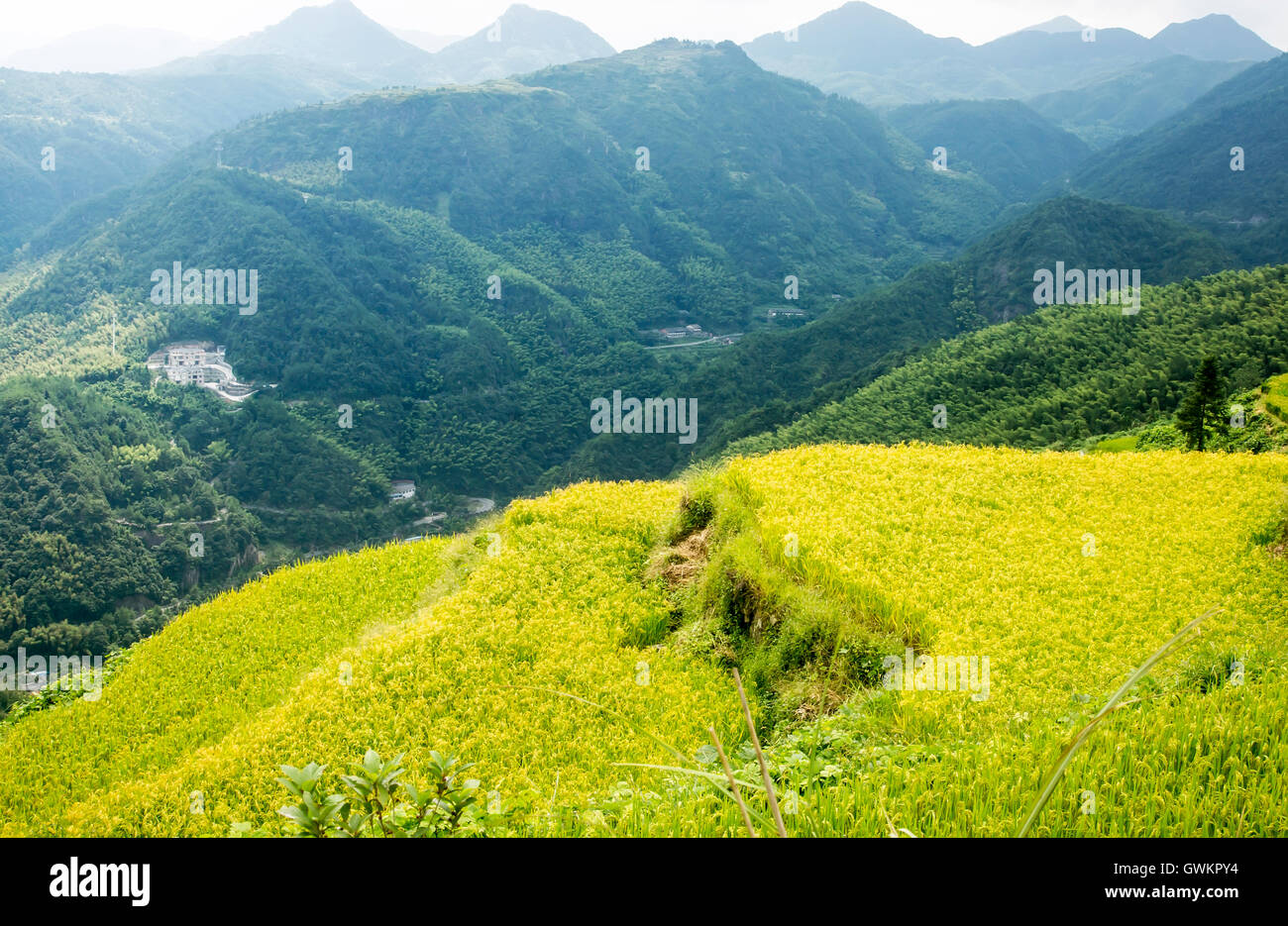 China Wenzhou landscape - mountain scenery Stock Photo - Alamy