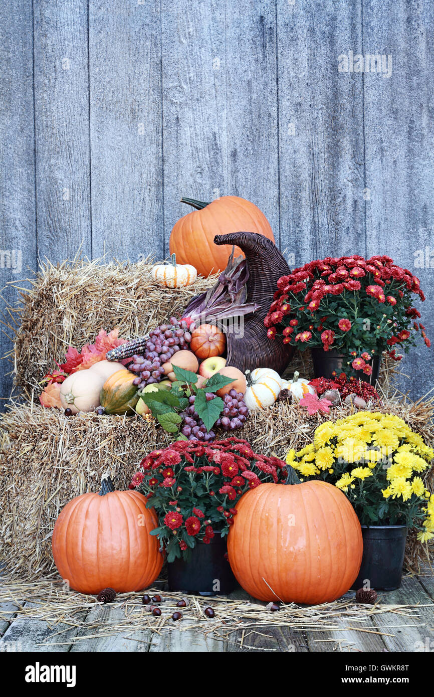 Cornucopia Still Life Stock Photo - Alamy