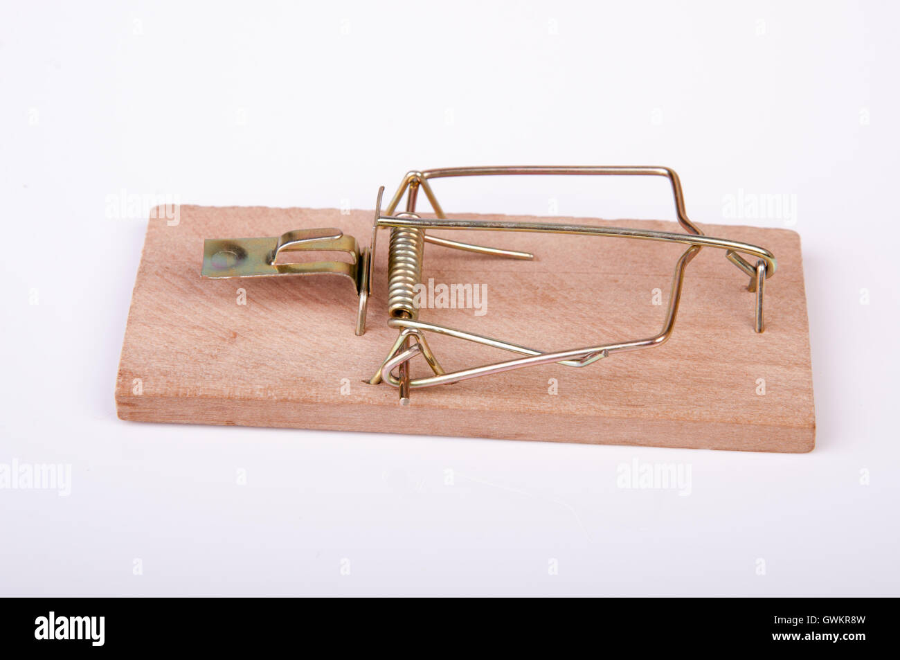 Mousetrap mouse hi-res stock photography and images - Alamy
