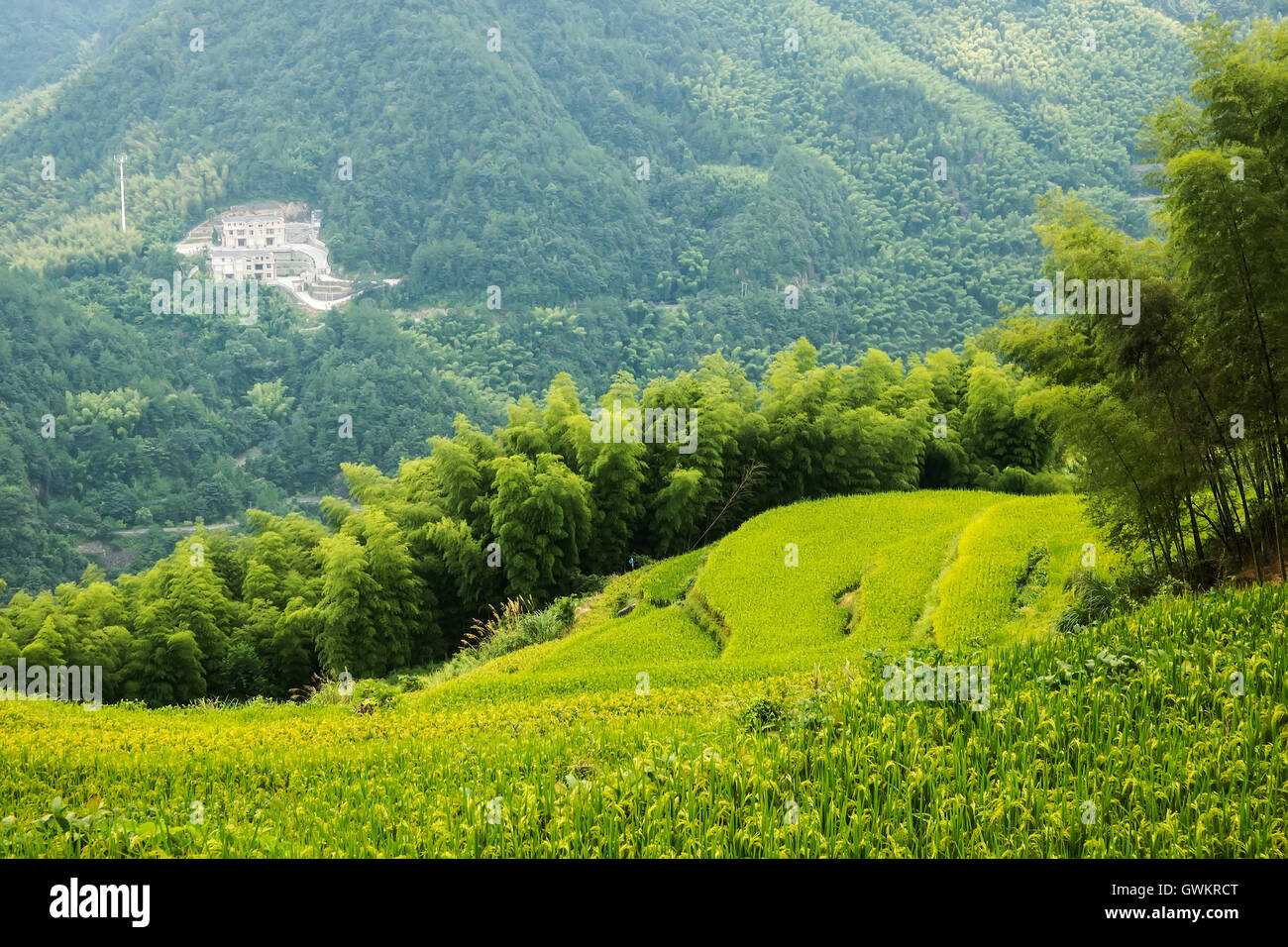 China Wenzhou landscape - mountain scenery Stock Photo - Alamy