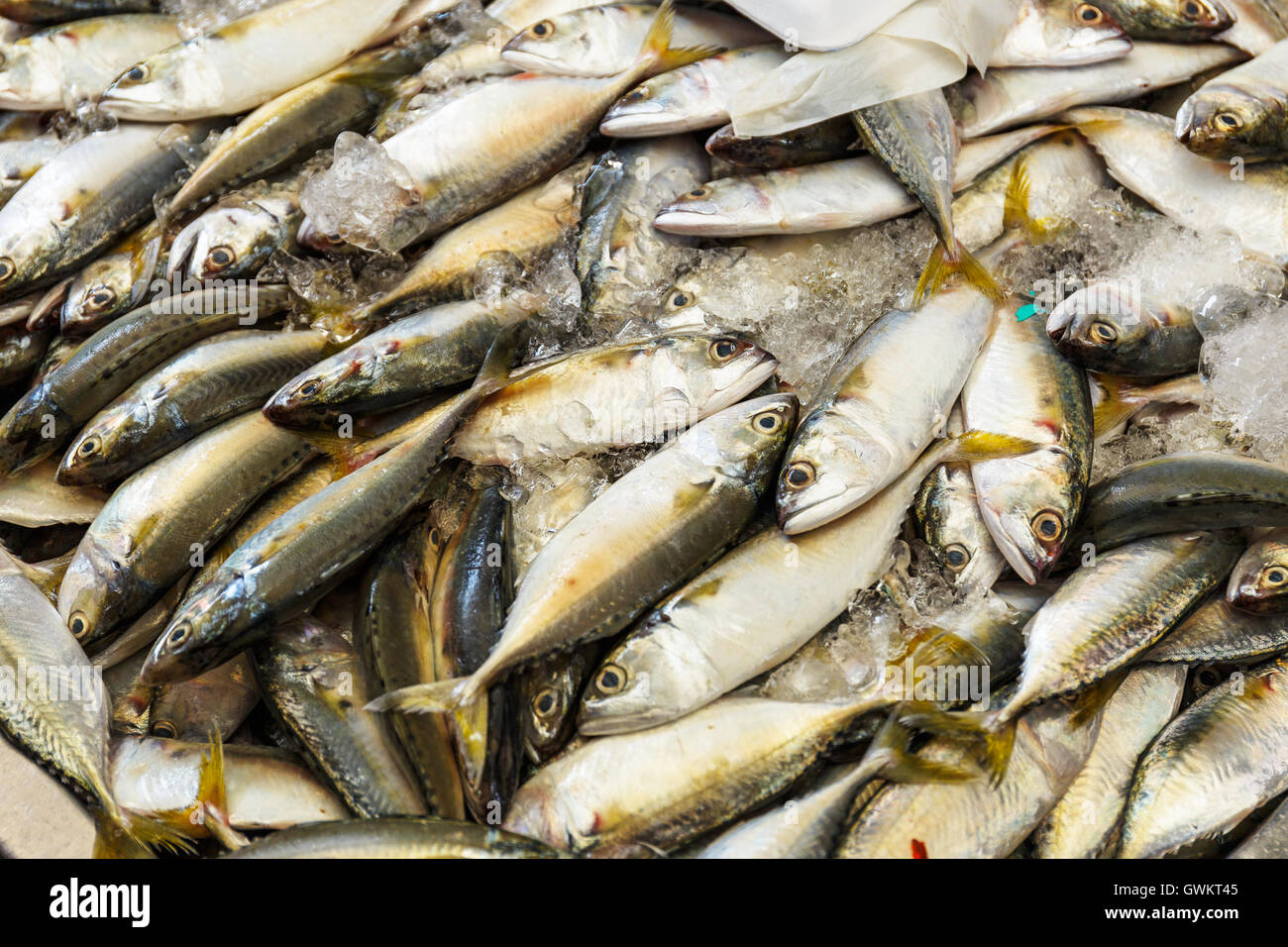 Freshness fish in the market stall Stock Photo - Alamy