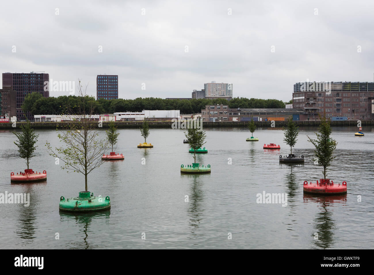 The Bobbing Forest in Rotterdam, the Netherlands Stock Photo - Alamy