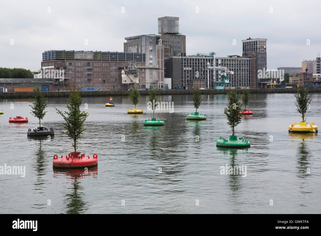 The Bobbing Forest in Rotterdam, the Netherlands Stock Photo - Alamy