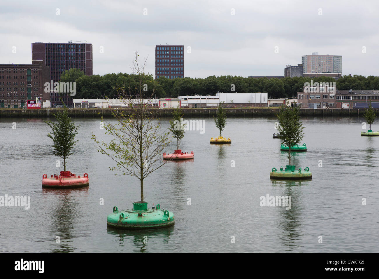 The Bobbing Forest in Rotterdam, the Netherlands Stock Photo - Alamy