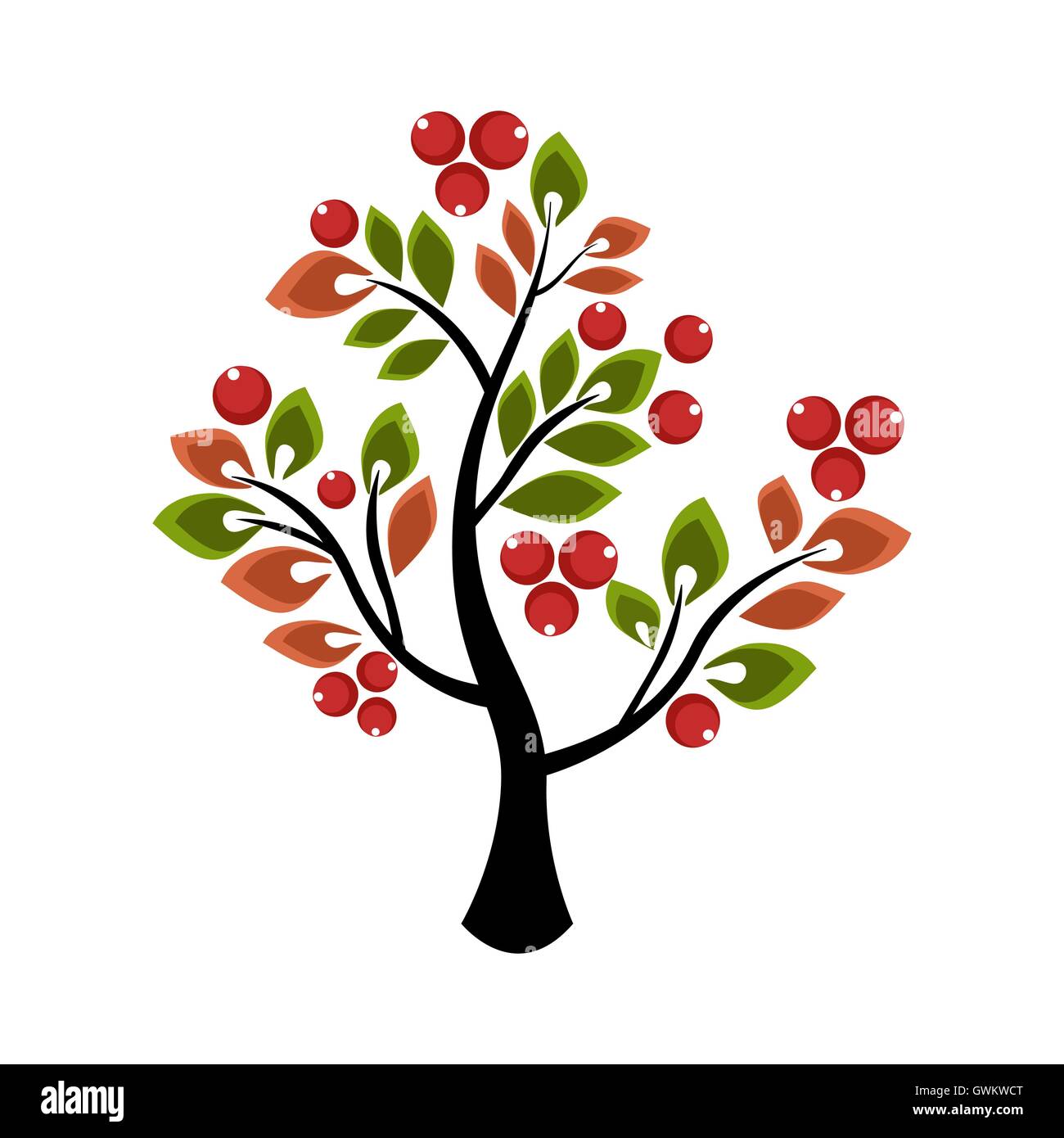 Tree growing berries and leaves Stock Vector Image & Art - Alamy