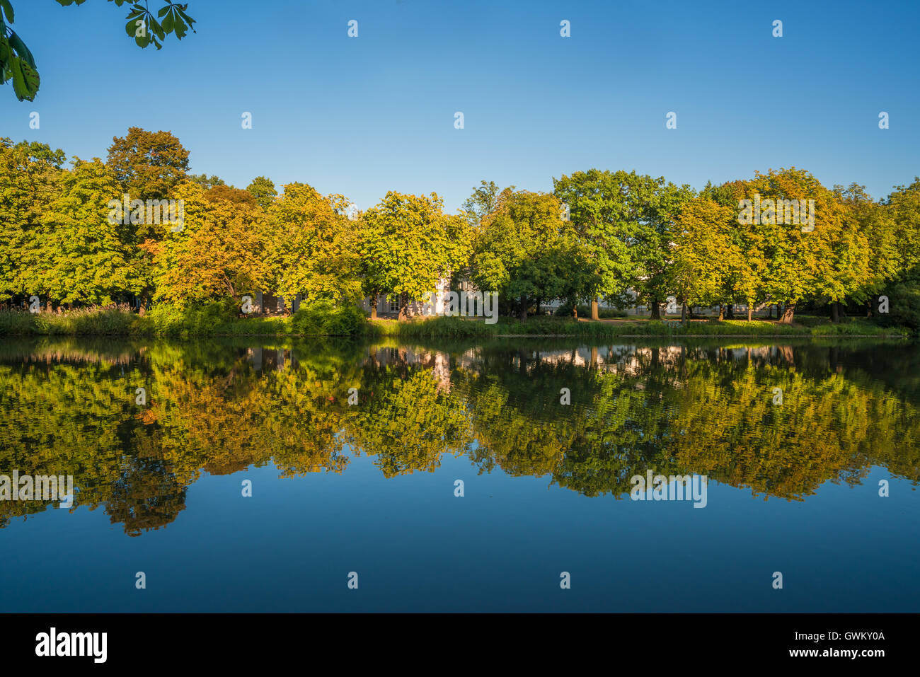 A lake in Lazienki Park, Warsaw, Poland Stock Photo - Alamy