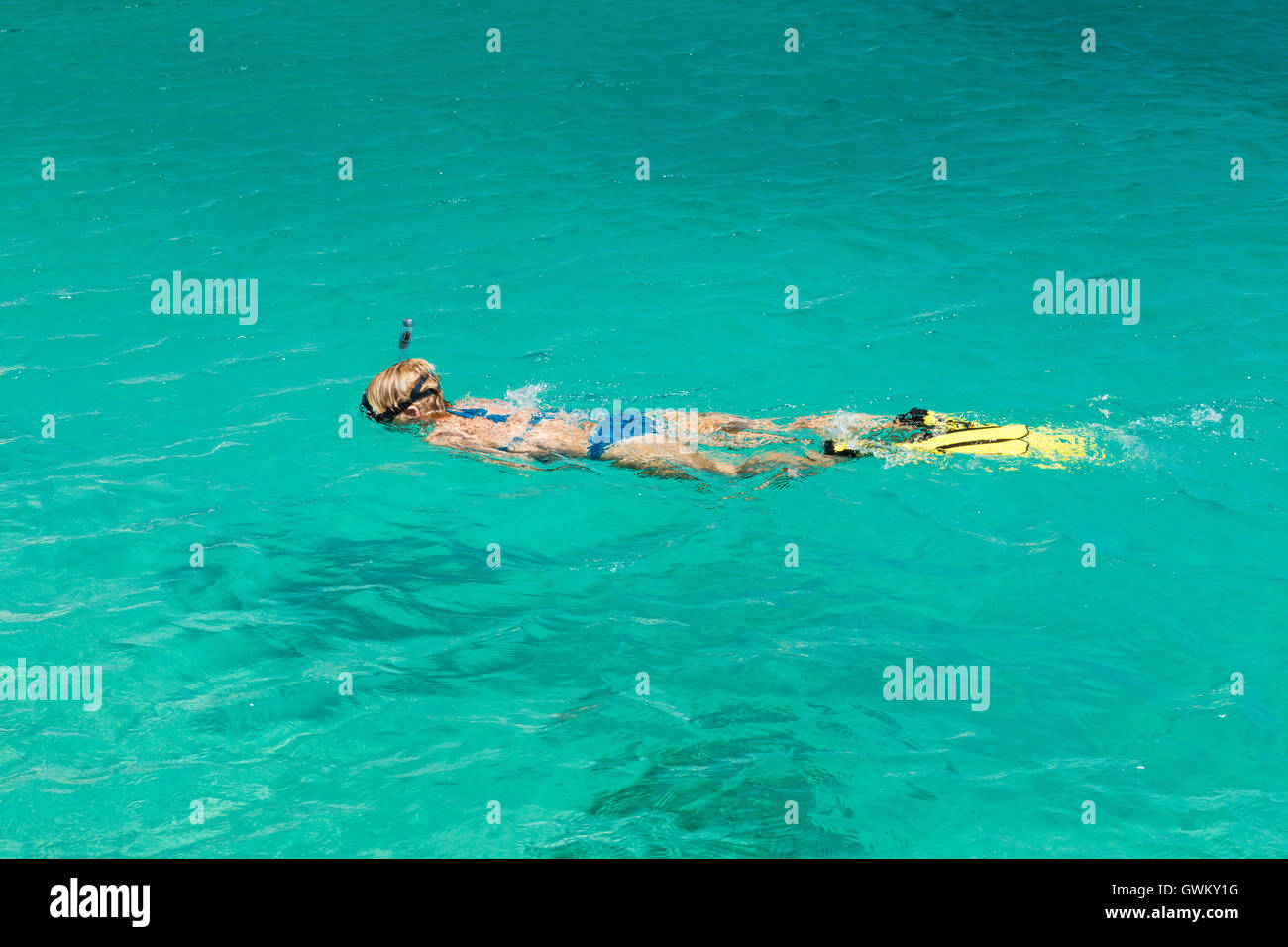 Swimmer with mask and pipe in the water Stock Photo - Alamy