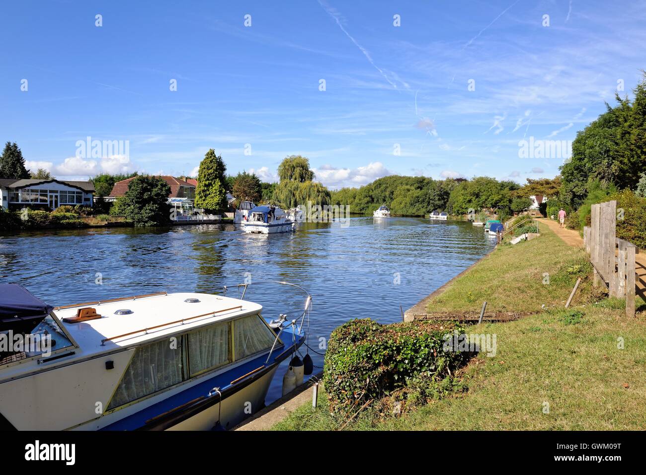 The River Thames at Laleham on a summers day Stock Photo - Alamy
