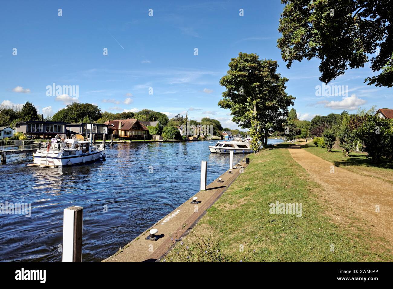 The River Thames at Laleham on a summers day Stock Photo - Alamy