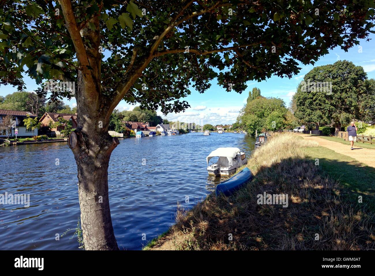 The River Thames at Laleham on a summers day Stock Photo - Alamy