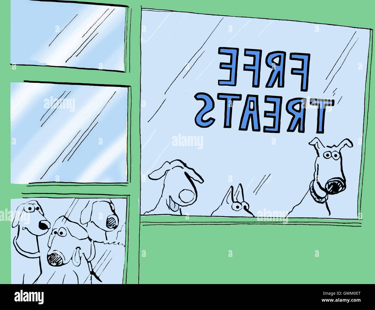 Pet Store Window Painting