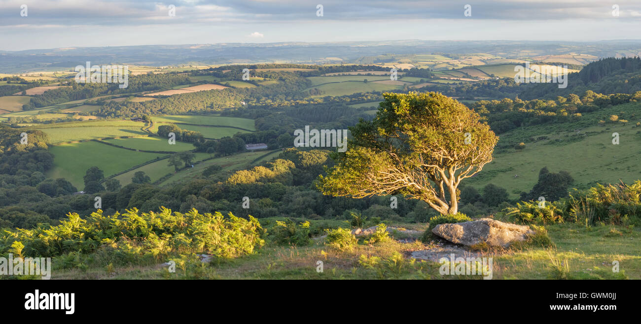 Photographing baron hi-res stock photography and images - Alamy