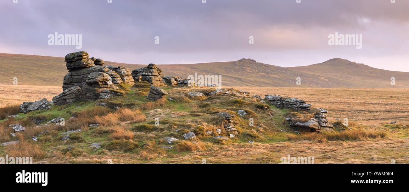 Photographing baron hi-res stock photography and images - Alamy