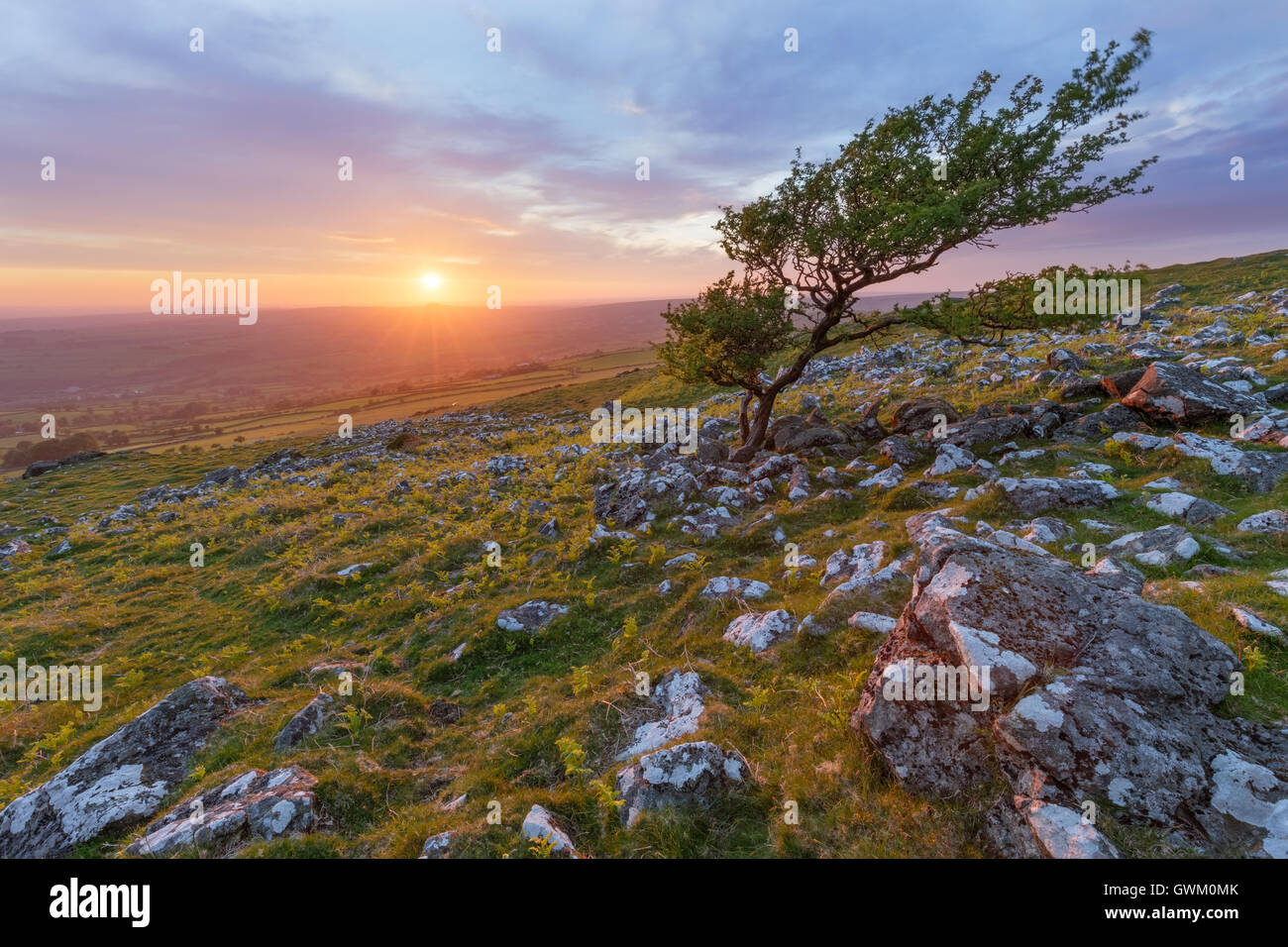 Cox tor hi-res stock photography and images - Alamy